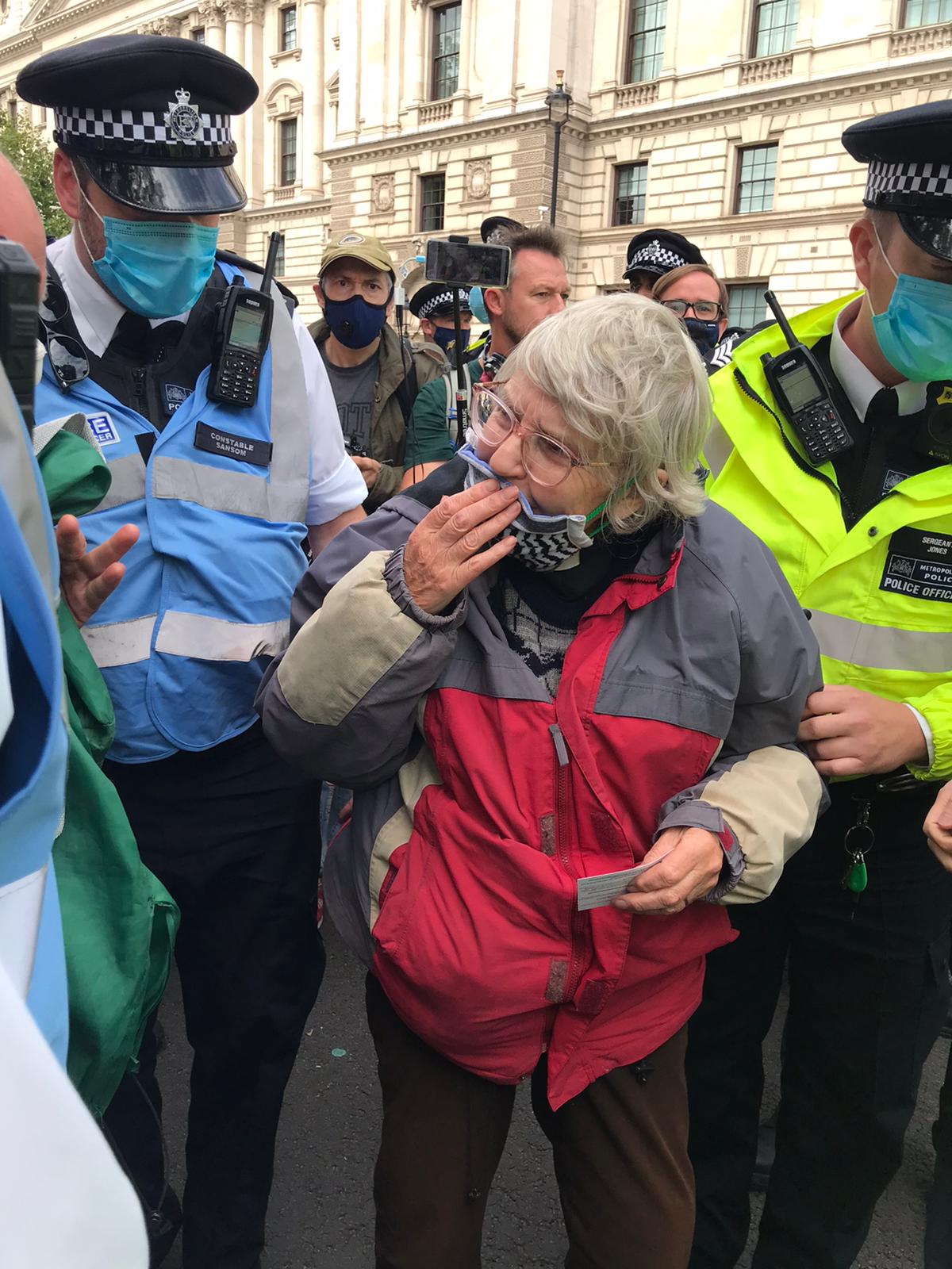 Rev Sue Parfitt, 79, Commits Contempt of Court Over Climate Emergency ...